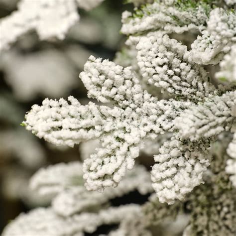 Snowy Alpine Pencil Christmas Tree, 8ft - Décors Véronneau