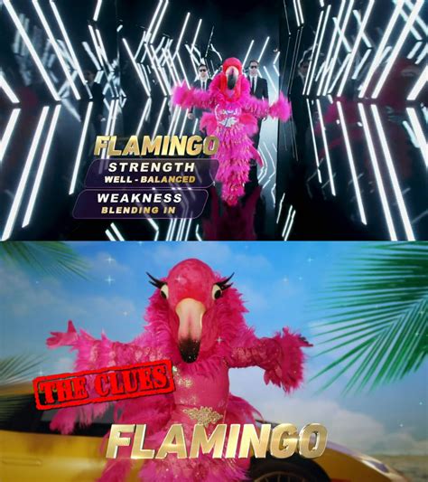 Image result for Flamingo Masked Singer Reveal
