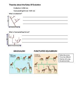 Image result for Evolution Guided Notes
