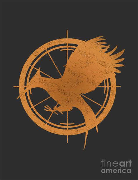 Image result for Hunger Games Catching Fire Mockingjay