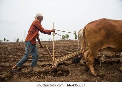 Image result for Indian Man Using Soil Compaction Machine