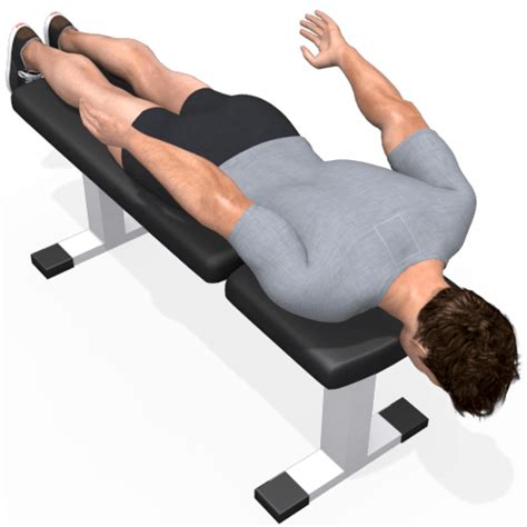 Image result for Bench Flye