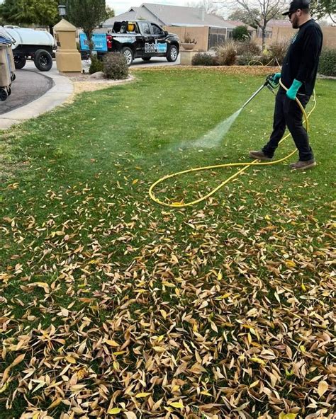 Image result for Weed Control Service