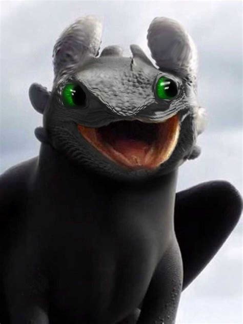 Image result for Toothless in Real Life