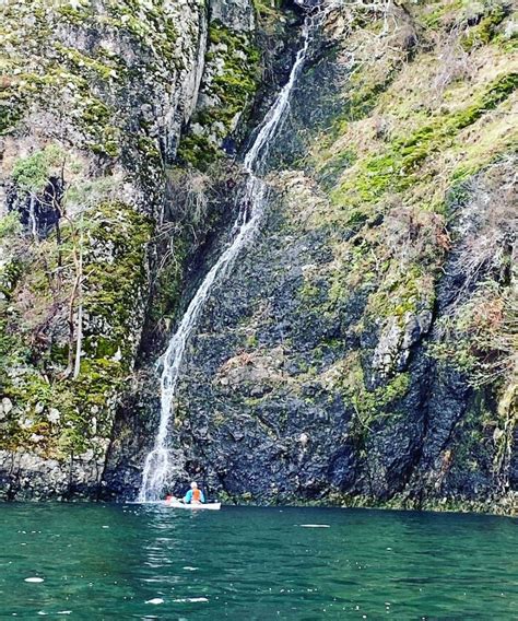 Image result for Local Salt Salt Spring Island