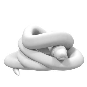 Image result for Python 3D Model