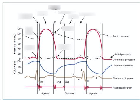 Image result for Cardiac Cycle Graph