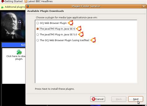 Image result for Java TM Plug In