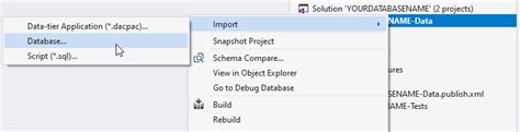Image result for SSDT Import Excel Source Tutorial