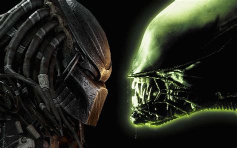 Image result for Alien Vs. Predator Sequel
