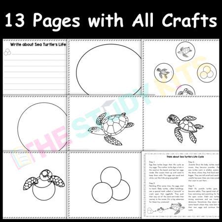 Sea Turtle Life Cycle Worksheet - Kidseducator