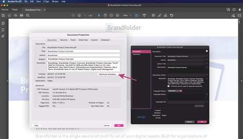 Image result for How to Open Metadata File