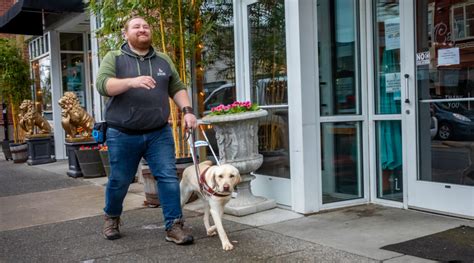 Image result for Training a Guide Dog