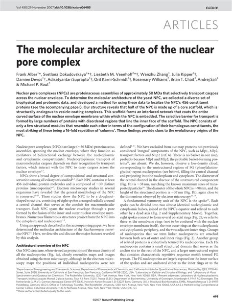 Image result for Nuclear Pore Complex Franke Model