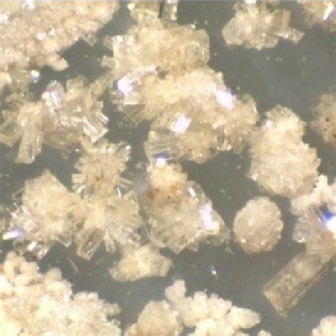 Image result for Microscope Crystals