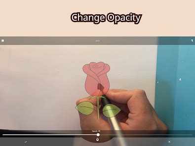Image result for Translucent App