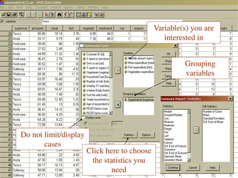 Image result for SPSS Tutorial Video