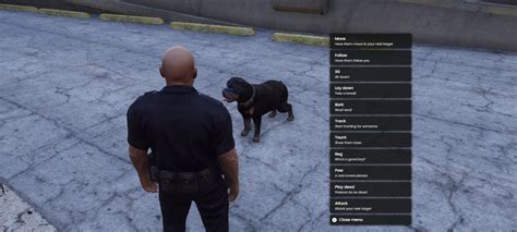 Image result for How to Put K9 Script In