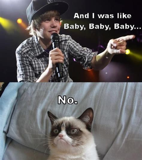 Image result for Grumpy Cat Angry