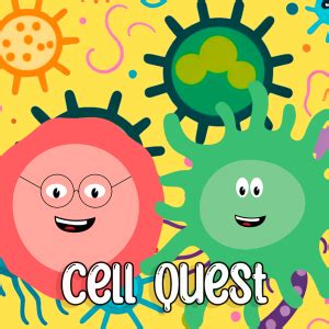 Image result for CellQuest Tutorial