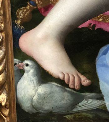 Image result for Python Foot