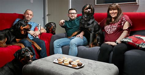 Image result for Watch Gogglebox