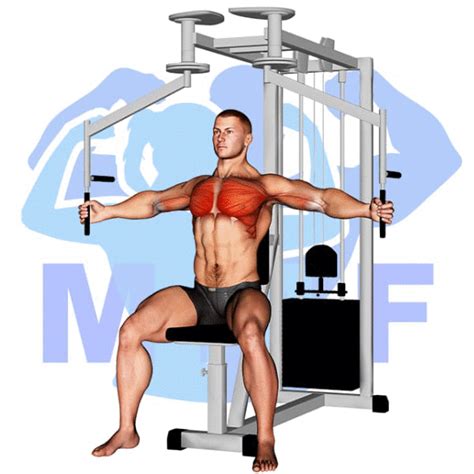 Image result for Cable Fly Machine