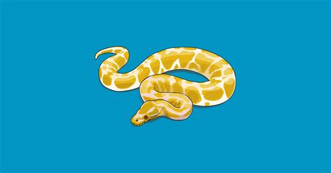 Image result for Burmese Python Cartoon