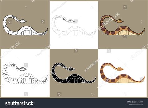 Image result for Python Coding Cartoon
