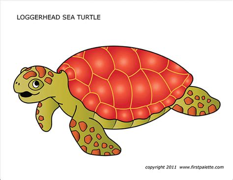 Image result for Sea Turtle PrintOut