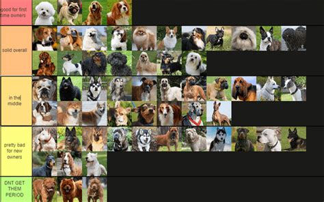 Image result for Normal Dog List