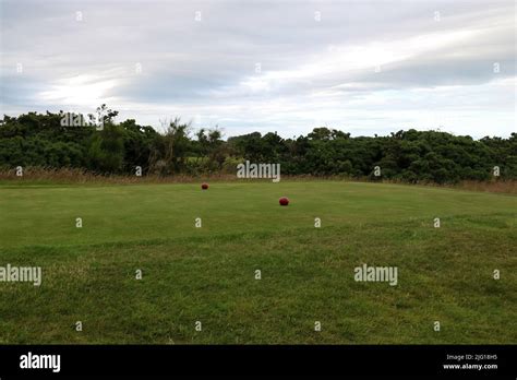 Image result for Tee Off Area at Golf Course