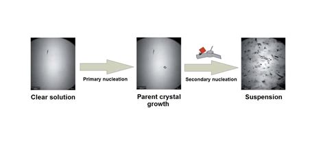 Image result for Crystallization Kinetics