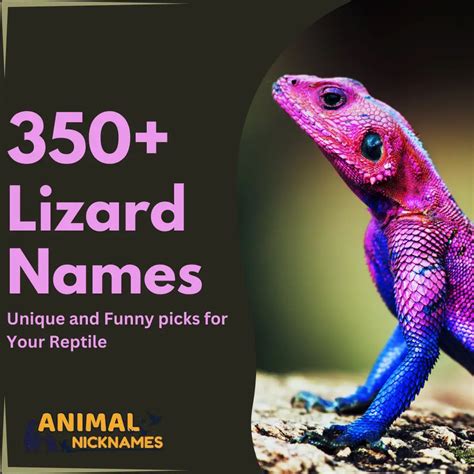 Image result for Types of Lizards Names