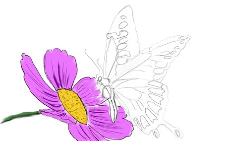 Image result for How to Draw a Simple Butterfly