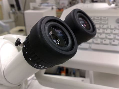 How To Calculate Magnification On A Light Microscope