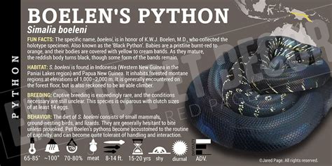 Image result for Bolen Python