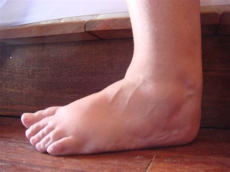 Image result for Python Foot