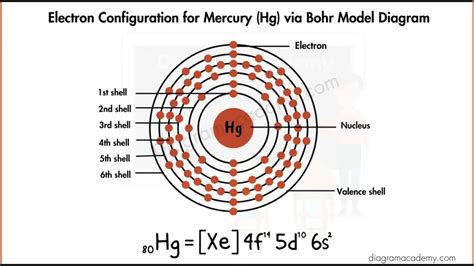 Image result for Mercury Element Bohr-Rutherford Model