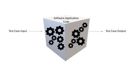 Image result for Alpha Testing in Software Testing in Hindi