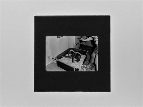 Image result for Recursive Language