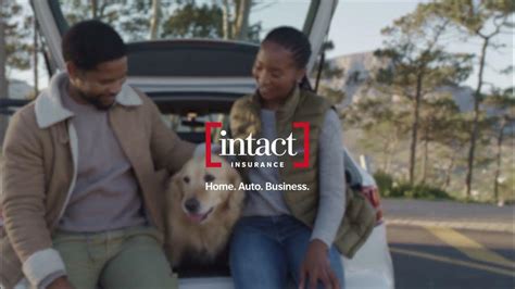Image result for Intact Insurance Colors