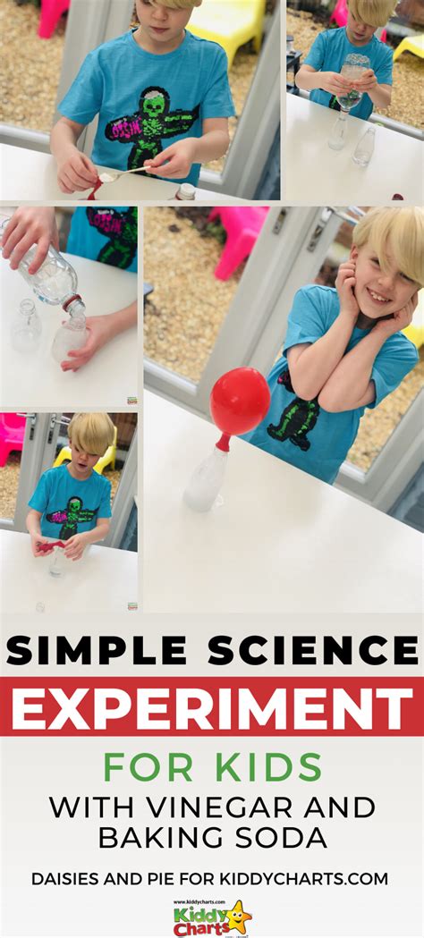 Image result for Simple Science Experiment Procedure