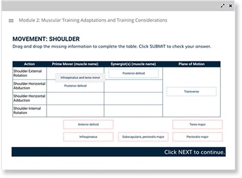 Image result for Ace How Long Lesson