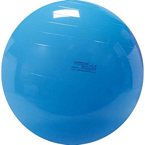 Image result for Small Blue Exercise Ball