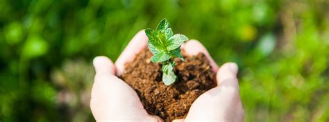 Image result for Building Your Own Solar System