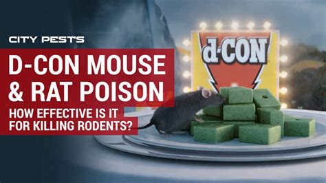 Image result for D-Con Mouse Poison