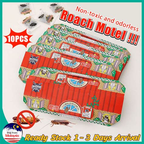 Image result for Cockroach Lizard Trap