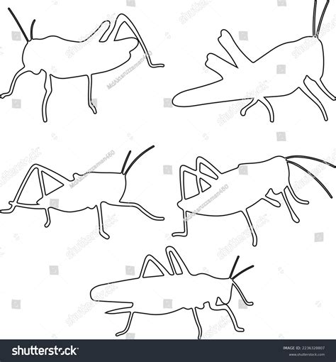 Image result for Cockroach Line Art