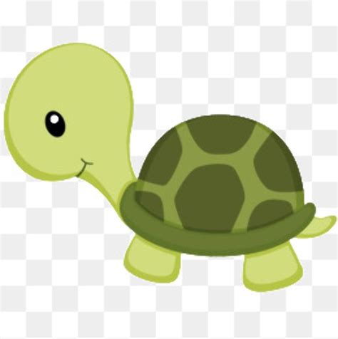 Download High Quality turtle clipart cartoon Transparent PNG Images ...